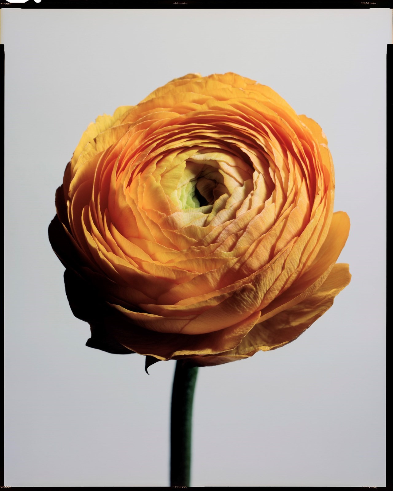 Craig Cutler | AtEdge