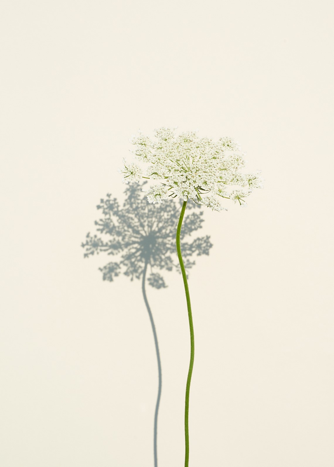 Jonathan Pilkington | AtEdge
